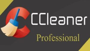 software limpeza computador - limpando com ccleaner professional